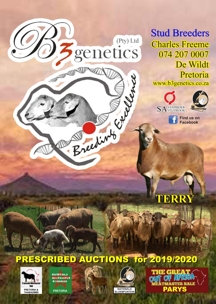 B3 Stud Ads 2018-2020 – B3 Genetics