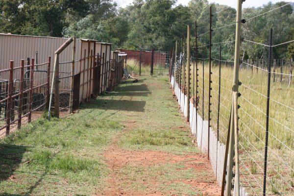 Sheep Feedlot – B3 Genetics